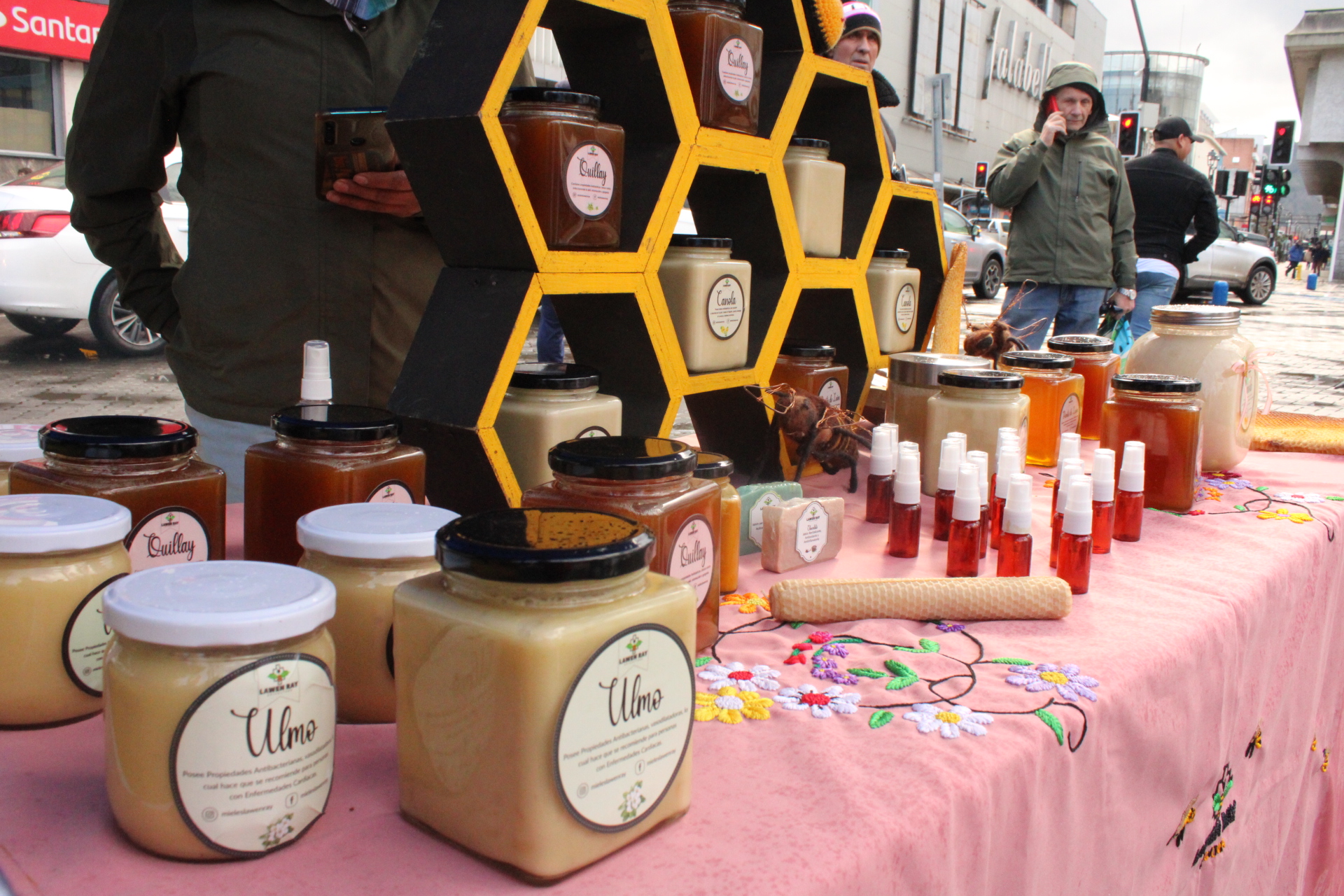 APICULTURA EN LA ARAUCANÍA: EL IMPACTO ECONÓMICO Y SUSTENTABLE DE LA ...